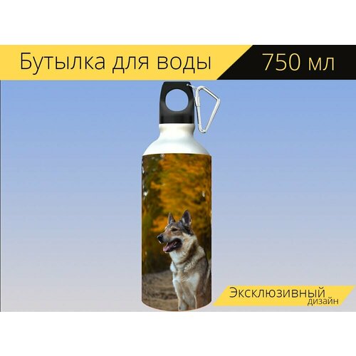 Бутылка фляга для воды "Собака, эльзасский, животное" 750 мл. с карабином и принтом