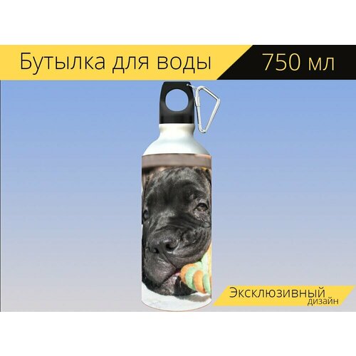 Бутылка фляга для воды "Собака, щенок, кане корсо" 750 мл. с карабином и принтом