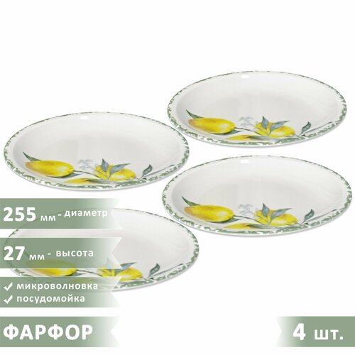 Набор плоских тарелок "Лимоны", фарфор, диаметр 255 мм, высота 27 мм, белые, 4 шт.