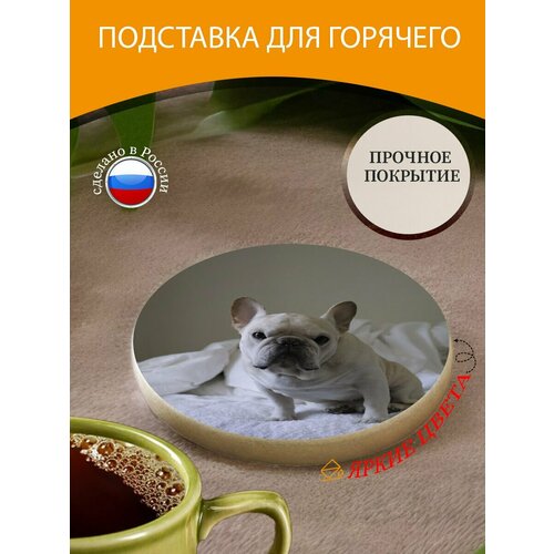 Подставка под горячее "Собака, мило, французский бульдог" 10 см. из блого мрамора
