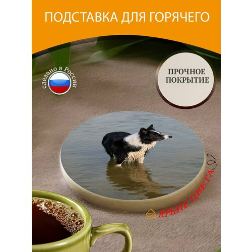 Подставка под горячее "Колли в воде, собака стоит в воде, бордерколли" 10 см. из блого мрамора