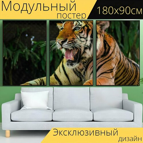 Модульный постер "Тигр, большой кот, портрет" 180 x 90 см. для интерьера