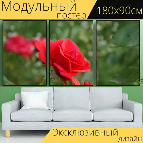 Модульный постер "Роза, сад, красный" 180 x 90 см. для интерьера