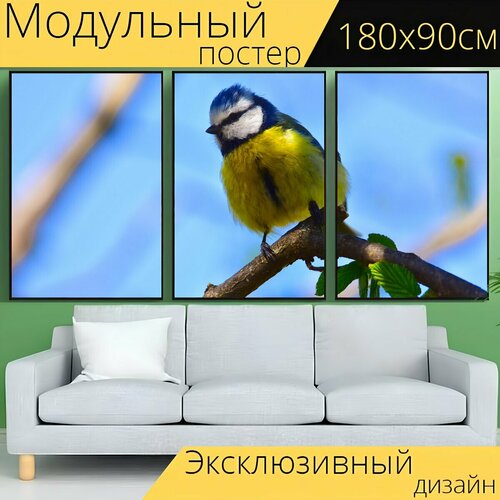 Модульный постер "Птица, природа, синица" 180 x 90 см. для интерьера