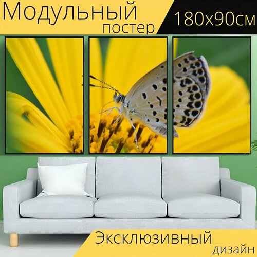 Модульный постер "Бабочка, цветок, цветочная пыльца" 180 x 90 см. для интерьера