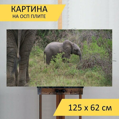Картина на ОСП 125х62 см. "Слон, саванновый африканский слон, национальный парк" горизонтальная, для интерьера, с креплениями