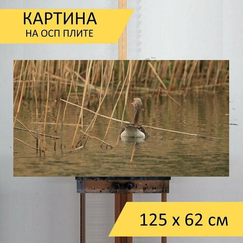 Картина на ОСП 125х62 см. "Озеро, водоплавающая птица, природа" горизонтальная, для интерьера, с креплениями