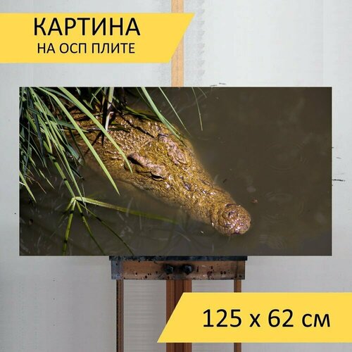 Картина на ОСП 125х62 см. "Южная африка, вода, крокодил" горизонтальная, для интерьера, с креплениями