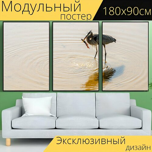 Модульный постер "Цапля, цапля рыбалка, птица" 180 x 90 см. для интерьера