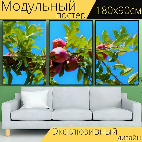 Модульный постер "Яблоко, дерево, фрукты" 180 x 90 см. для интерьера