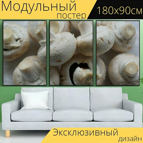 Модульный постер "Грибы, белый гриб, еда" 180 x 90 см. для интерьера