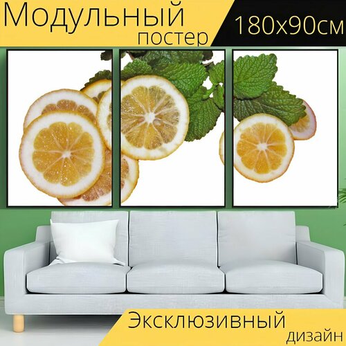 Модульный постер "Лимоны, цитрусовые, фрукты" 180 x 90 см. для интерьера