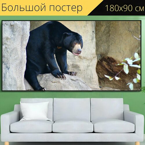 Большой постер "Солнечный медведь, млекопитающие, крупные животные" 180 x 90 см. для интерьера