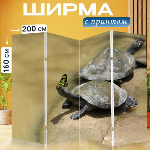 Ширма перегородка с принтом "Черепахи, рептилии, животные" на холсте - 200x160 см. для зонирования, раскладная