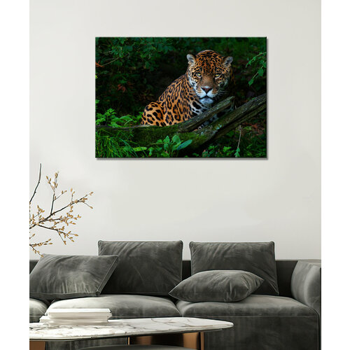 Картина/Ягур/Ягуар в джунглях/Ягуар на дереве/Черный ягуар/ - Ягуар (5) 50х70