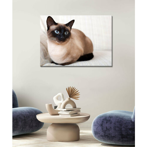 Картина - кошка, сиамская кошка, домашняя кошка, ласковая кошка, короткошерстная кошка, кот (90) 40х60