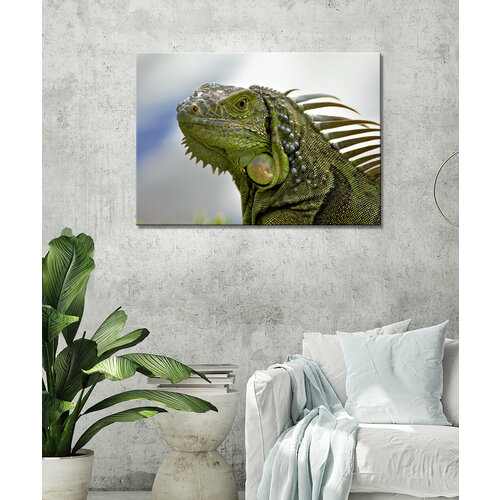 Картина -Игуана, зеленая игуана, ящерица (4) 50х70