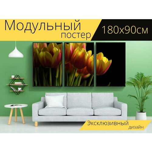 Модульный постер "Тюльпаны, цветы, блум" 180 x 90 см. для интерьера