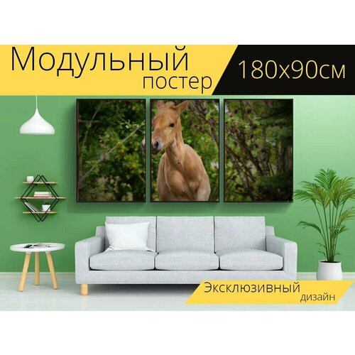 Модульный постер "Лошадь, жеребенок, лошади" 180 x 90 см. для интерьера