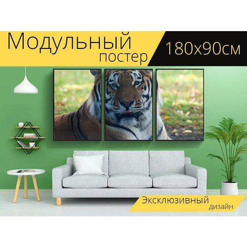 Модульный постер "Амурский тигр, тигр, горит ярко" 180 x 90 см. для интерьера