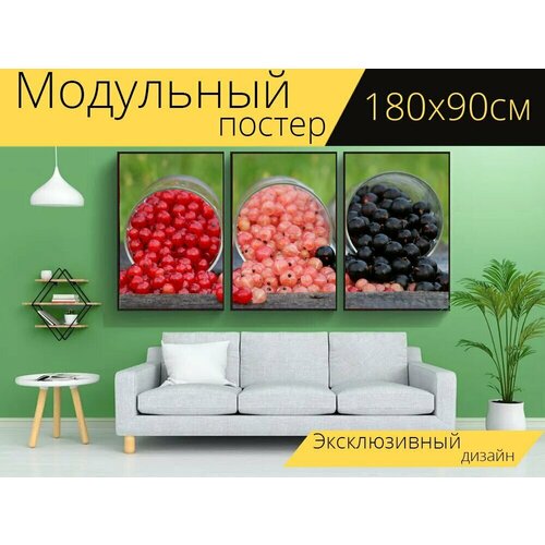 Модульный постер "Смородина, сорт, стакан" 180 x 90 см. для интерьера