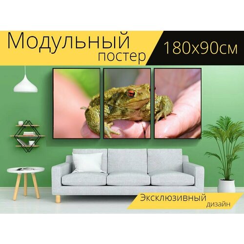 Модульный постер "Жаба, лягушка, батрахиан" 180 x 90 см. для интерьера