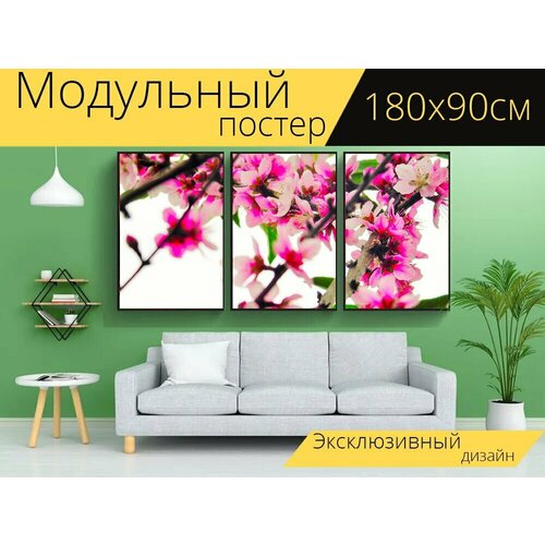 Модульный постер "Розовый, роза, цветы" 180 x 90 см. для интерьера
