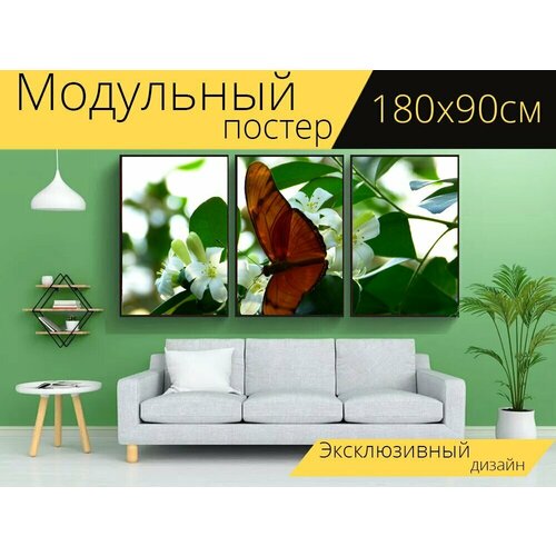 Модульный постер "Юлия бабочка, бабочка, летающий" 180 x 90 см. для интерьера