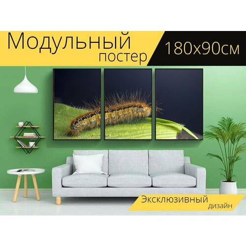 Модульный постер "Гусеничные, личинка, бабочка" 180 x 90 см. для интерьера