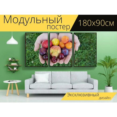 Модульный постер "Фрукты, летние фрукты, персик" 180 x 90 см. для интерьера