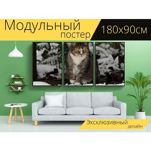Модульный постер "Кот, похмелье, скумбрия" 180 x 90 см. для интерьера