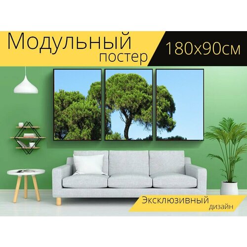 Модульный постер "Сосна, сосновый лес, лес" 180 x 90 см. для интерьера