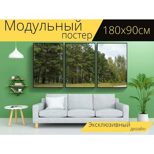 Модульный постер "Сосновый лес, лес, хвойный лес" 180 x 90 см. для интерьера