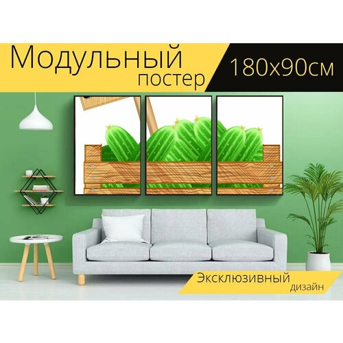Модульный постер "Обрешетка из овощей, огурцы, деревянная коробка" 180 x 90 см. для интерьера