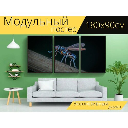 Модульный постер "Насекомое, муха, крыло" 180 x 90 см. для интерьера
