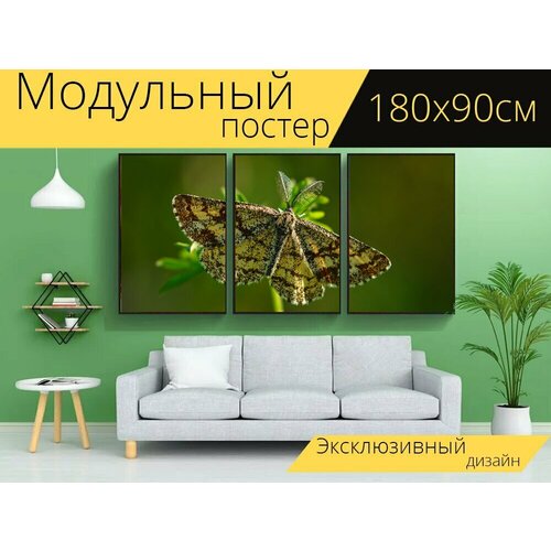 Модульный постер "Моль, насекомое, завод" 180 x 90 см. для интерьера