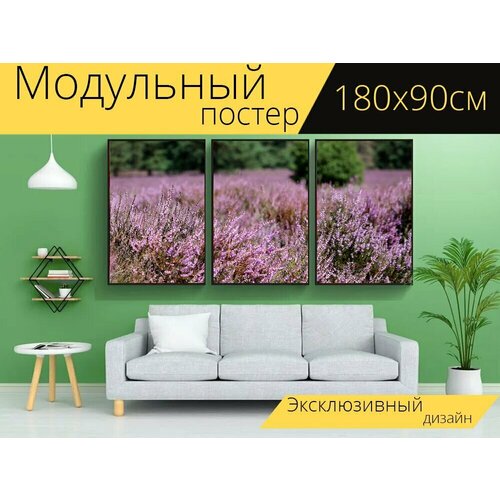Модульный постер "Вереск, фиолетовый, поле" 180 x 90 см. для интерьера