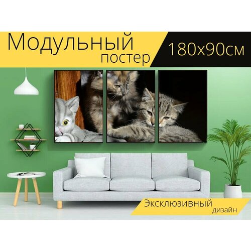 Модульный постер "Кот, маленькие кошки, три" 180 x 90 см. для интерьера