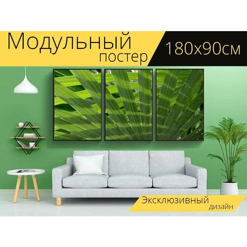 Модульный постер "Пальмовые листья, пальмовый лист, завод" 180 x 90 см. для интерьера