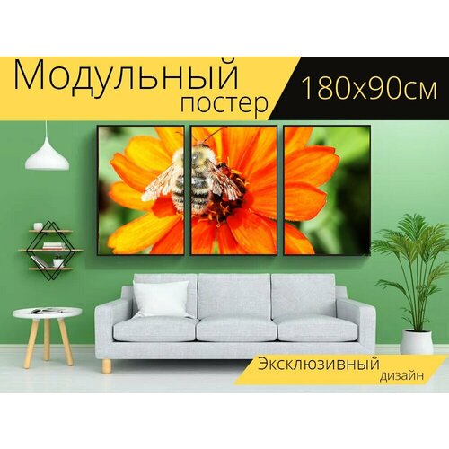 Модульный постер "Цветок, оранжевый цветок, природа" 180 x 90 см. для интерьера