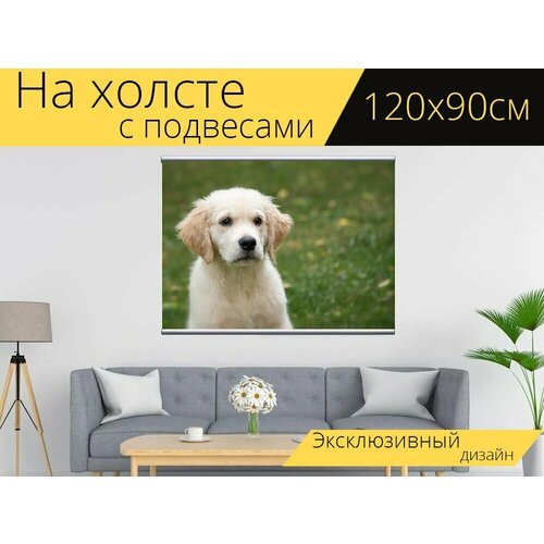 Картина на холсте "Собака, животное, щенок" с подвесами 120х90 см. для интерьера