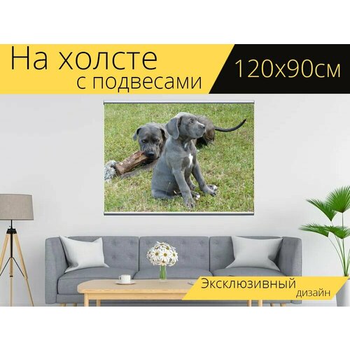 Картина на холсте "Собаки, собаки кане корсо, больших собак" с подвесами 120х90 см. для интерьера