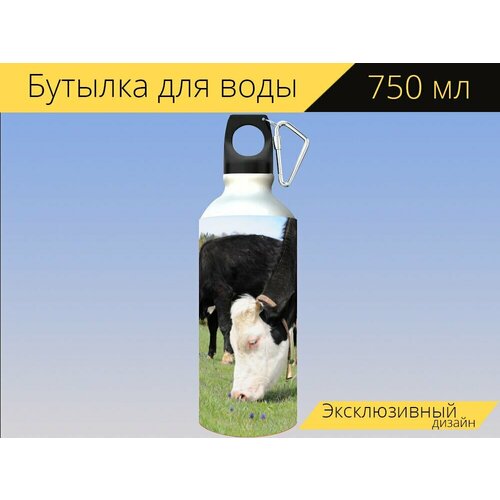 Бутылка фляга для воды "Корова, изображение коровы, корова картинки" 750 мл. с карабином и принтом