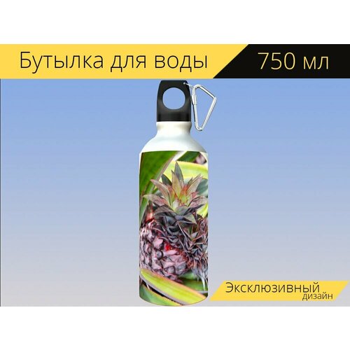 Бутылка фляга для воды "Ананас, завод, кактус" 750 мл. с карабином и принтом