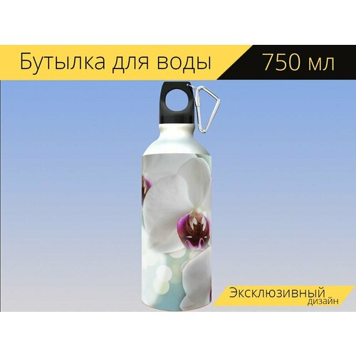 Бутылка фляга для воды "Орхидеи, белый, цветок" 750 мл. с карабином и принтом