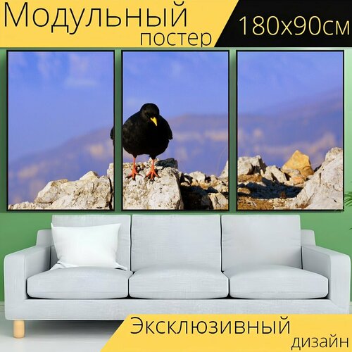 Модульный постер "Черный дрозд, птица, гора" 180 x 90 см. для интерьера