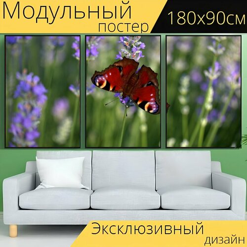Модульный постер "Бабочка, лаванда, цветной" 180 x 90 см. для интерьера