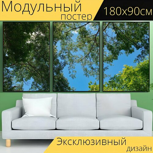 Модульный постер "Лес, небо, зеленый" 180 x 90 см. для интерьера