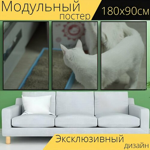 Модульный постер "Кот, кошка, животное" 180 x 90 см. для интерьера
