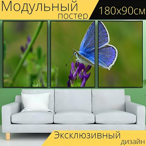 Модульный постер "Бабочка, голубоватый, луг" 180 x 90 см. для интерьера